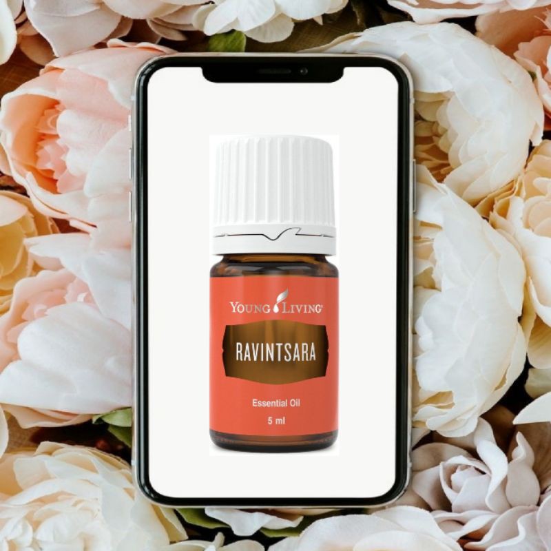 Jual Ravintsara oil 5Ml | Shopee Indonesia