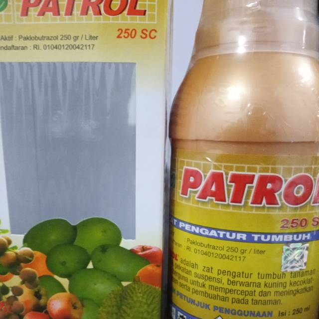 Jual ZPT perangsang buah segala musim PATROL 250SC 250 ML hormon ...