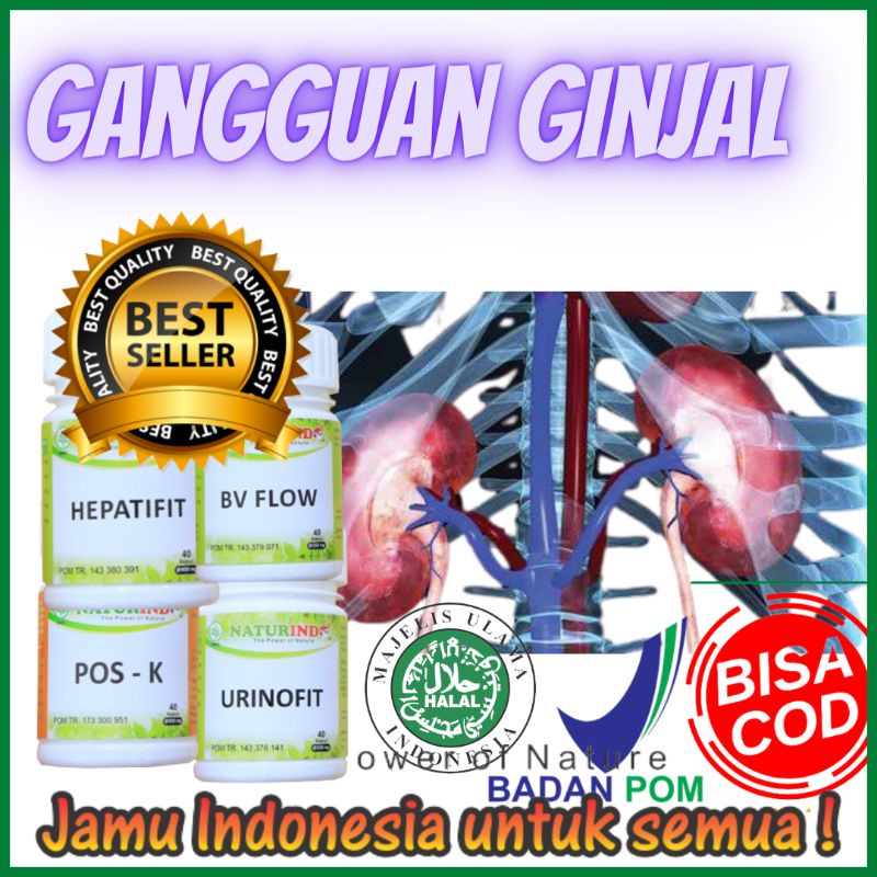 Jual resep obat gangguan ginjal herbal tradisional halal bpom mengatasi ...