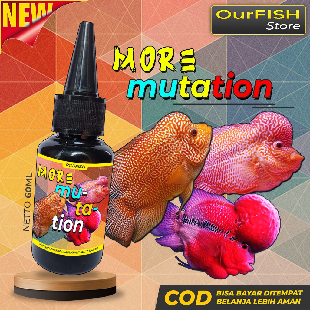 Jual OURFISH - Vitamin Ikan Louhan Obat Mutasi Cencu Kamfa Golden Base ...