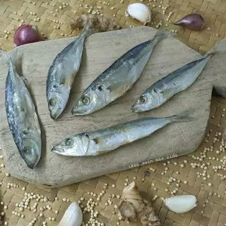 Jual Ikan Gereh Terlengkap & Harga Terbaru Mei 2024 | Shopee Indonesia