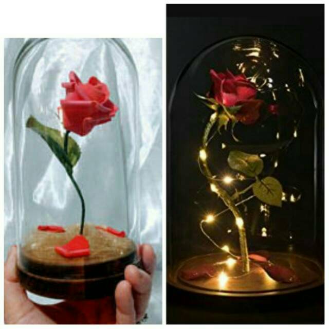 Jual BIG Glass Dome Kubah for Preserved Flower kotak kaca display ...