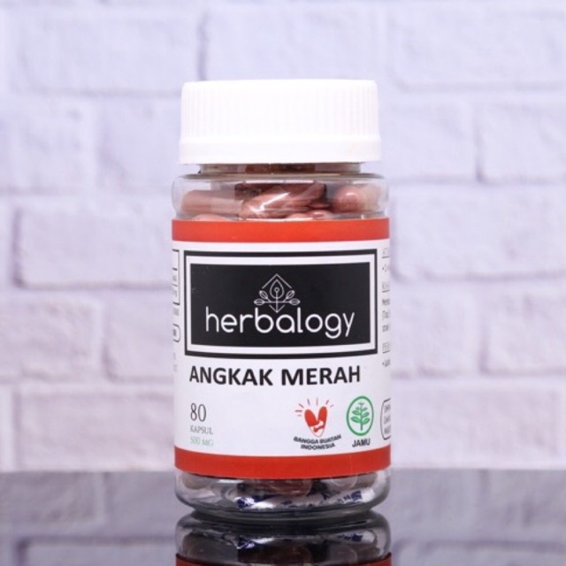 Jual HERBALOGY Angkak Merah - 80 Kapsul (Lemak Darah / Kolesterol ...