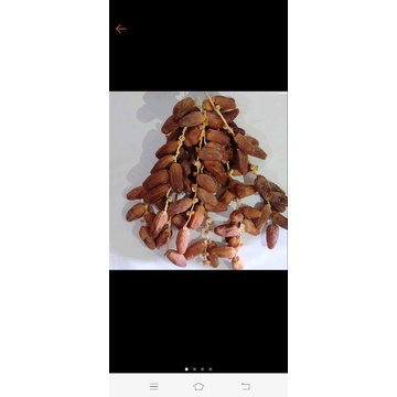 Jual deglet Nour 500gr / Tunisia tangkai deglet nour | Shopee Indonesia