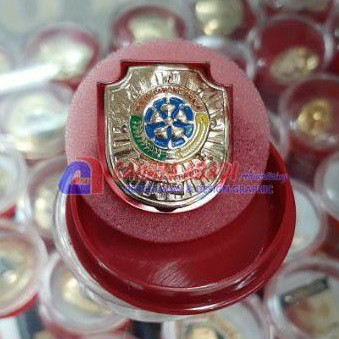 Jual Pin Kewenangan Pol PP atau SATPOL PP 4cm | Shopee Indonesia