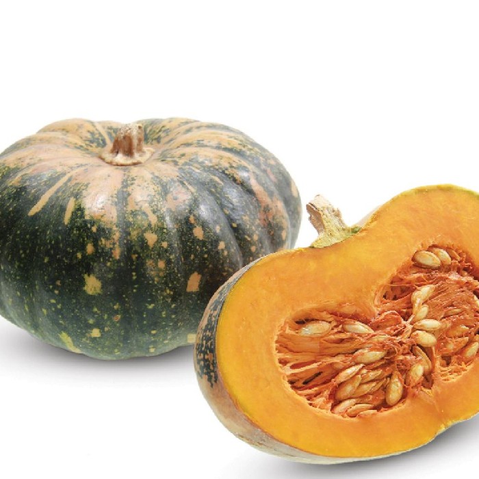 Jual Benih Labu Besar Hammer | Benih waluh Bisi (Repact) | Shopee Indonesia