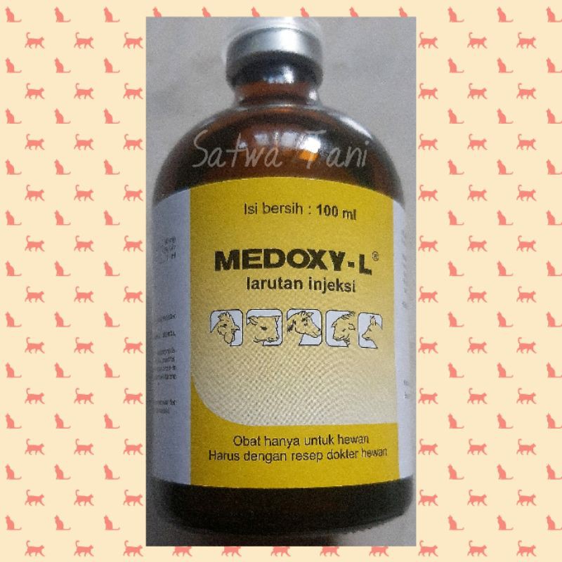 Jual MEDOXY -L 100 ml (ANTIBIOTIK SPEKTRUM LUAS) | Shopee Indonesia