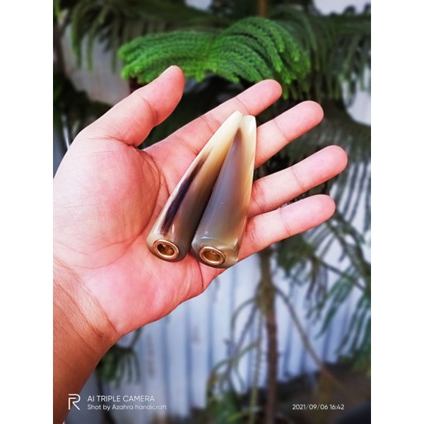 Jual pipa once tanduk kerbau bule mini | Shopee Indonesia