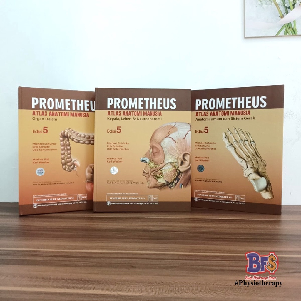 Jual Prometheus Atlas Anatomi Manusia Edisi 5 (SET 3 BUKU) | Shopee ...
