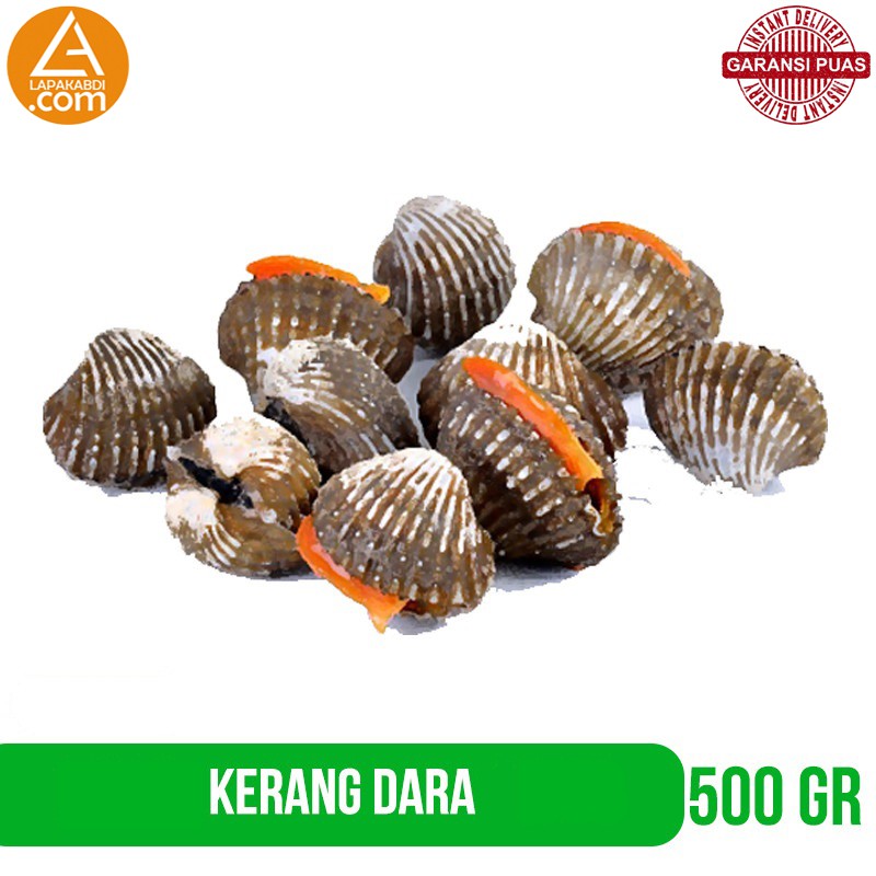 Jual Kerang Dara Seafood 500gr Ikan Segar Garansi Termurah | Shopee ...