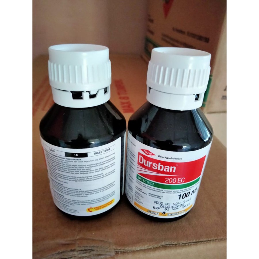 Jual Dursban 200EC Insektisida Serangga Kemasan 100ML | Shopee Indonesia