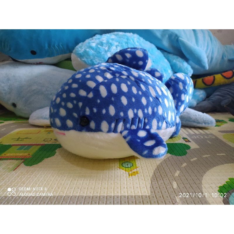 Jual boneka ikan paus biru preloved ( pl ) | Shopee Indonesia