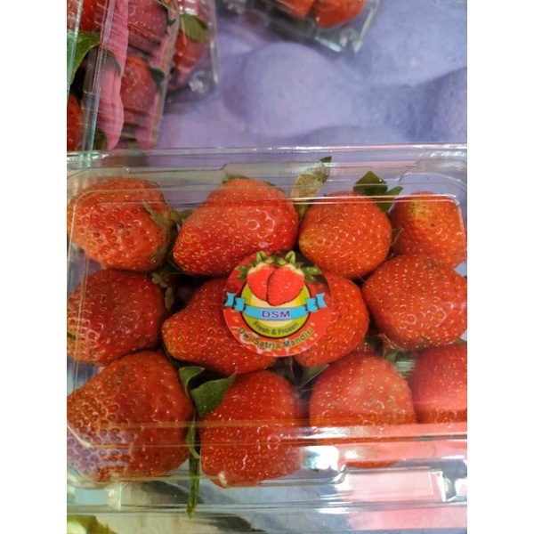 Jual buah strawberry organik kemasan 300Gram packing mika | Shopee ...