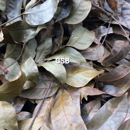 Jual Daun mahoni kering asli organik dan natural 100 gram | Shopee ...