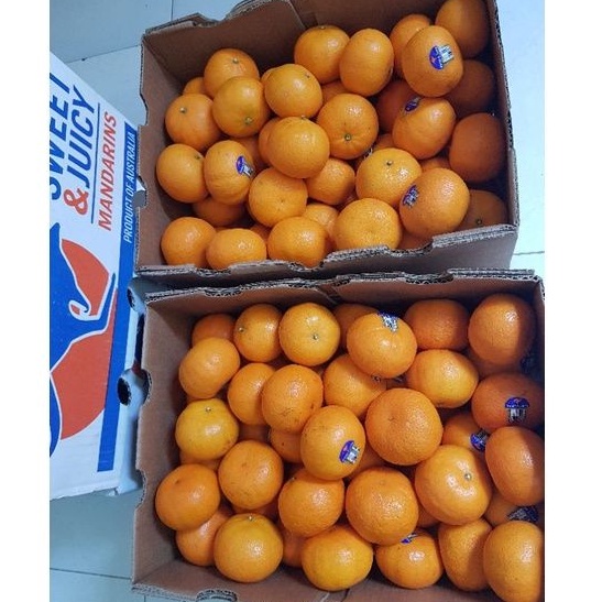 Jual jeruk honey murcot,buah jeruk palembang,jeruk wogan | Shopee Indonesia