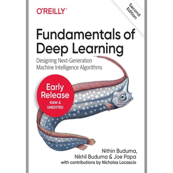 Jual Fundamentals of Deep Learning, 2nd Edition (Fourth Early Release ...