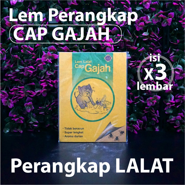 Jual Lem Lalat Lembar Cap Gajah - 3 Lembar - Penangkap Perangkap ...