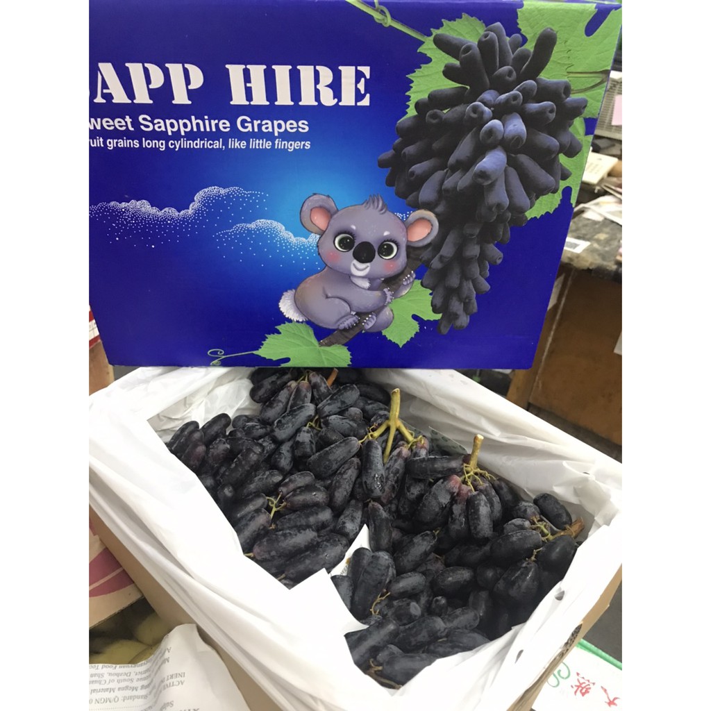 Jual Buah Anggur Blue Sweet Sapphire Grape Moondrop Koala anggur terong ...