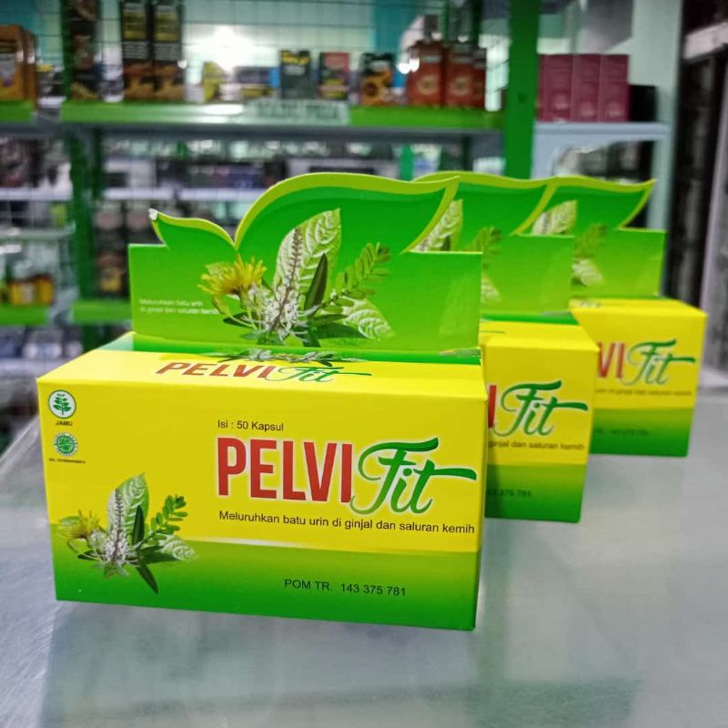 Jual PELFI VIT Obat Herbal Batu Ginjal, Batu Empedu Original 50 Kapsul ...