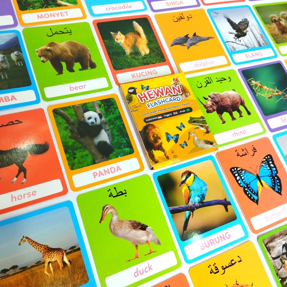 Jual Flashcard HEWAN Mainan Edukasi Kartu Pintar Anak | Shopee Indonesia