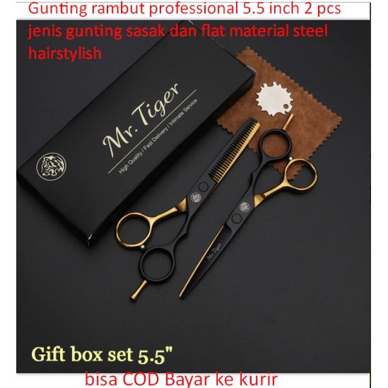 Jual Gunting rambut professional 5.5 inch 2 pcs jenis gunting sasak dan ...
