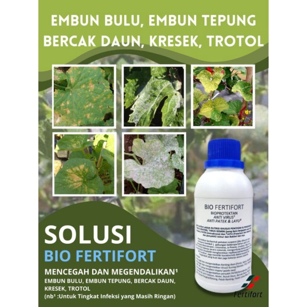 Jual BIO FERTIFORT PENCEGAH DAN PENGENDALI EMBUN BULU EMBUN TEPUNG ...