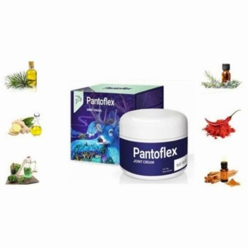 Jual Obat Cream Pantoflex Panto Flex Asli Original Nyeri Sendi Kaki ...