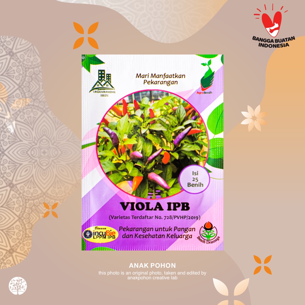 Jual (1 PACK) Benih Cabai Hias Pelangi VIOLA - IPB Retail Pack - 25 SEEDS | Shopee Indonesia