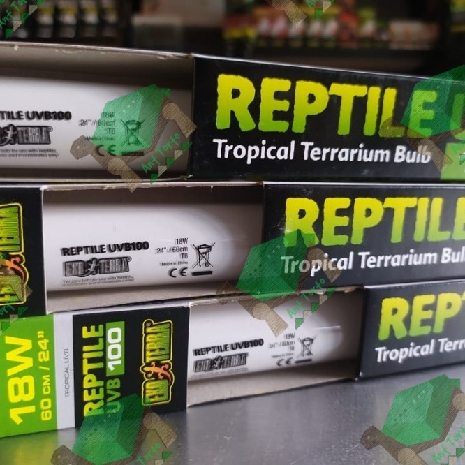 Jual Exoterra / Exo Terra UVB 100 TUBE TL Lamp 60 cm 18 w Lampu Reptil Kura | Shopee Indonesia