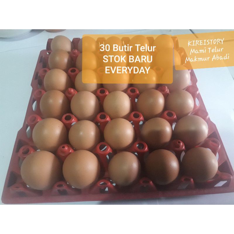 Jual Telur Ayam OMEGA 30 Butir Stock Baru | Shopee Indonesia