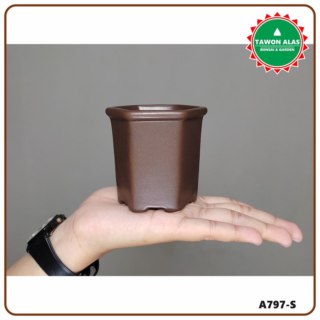 Jual Pot Bonsai Keramik Mame Segi Enam Unik | Shopee Indonesia
