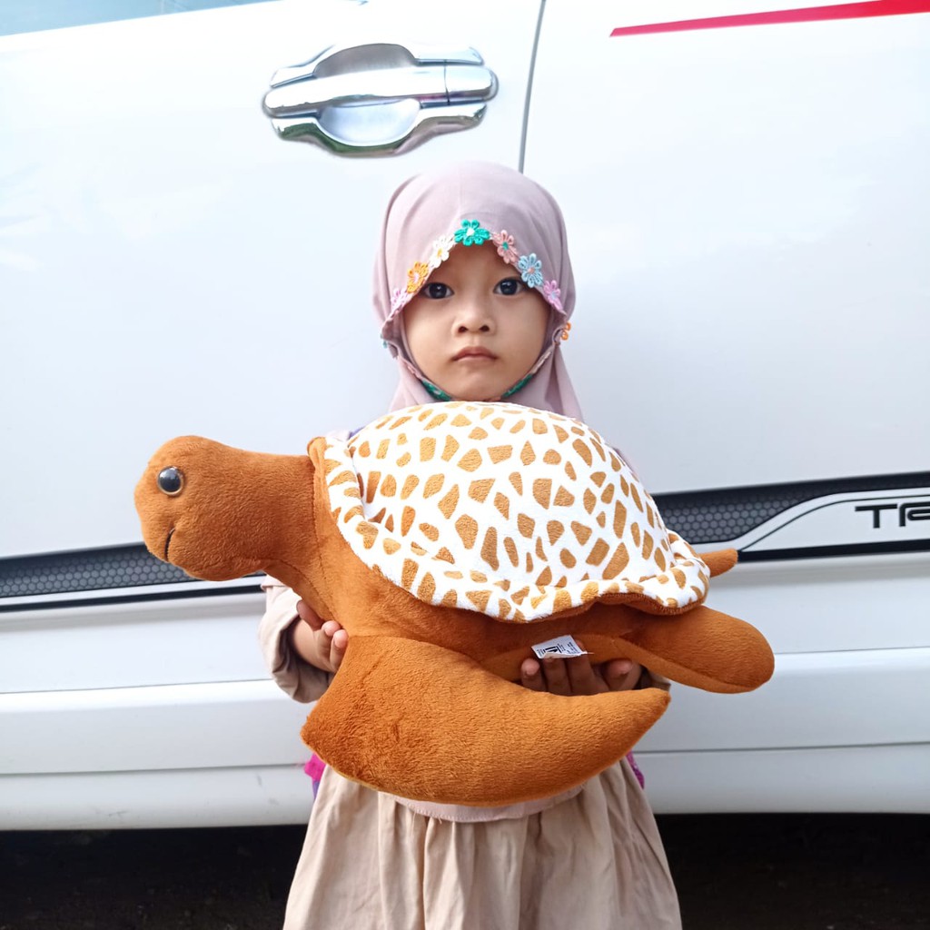 Jual Boneka Kura Kura Besar 35cm SNI | Shopee Indonesia