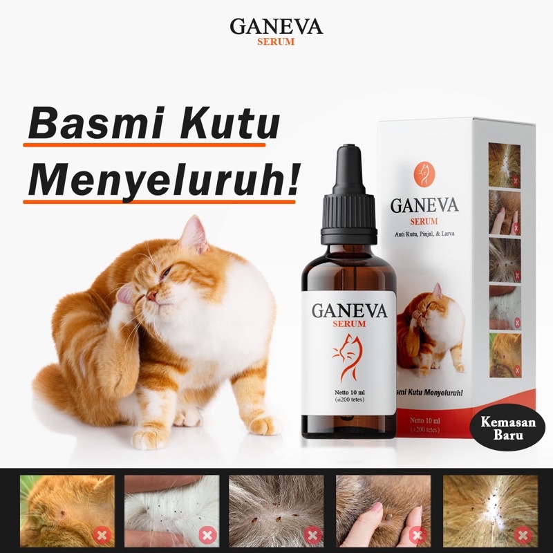 Jual Ganeva Serum Anti Kutu Kucing (Ganeva Serum) | Shopee Indonesia
