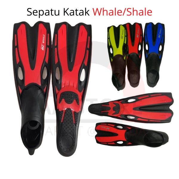 Jual SEPATU KAKI KATAK / SEPATU KATAK / FIN SEALS/WHALE | Shopee Indonesia