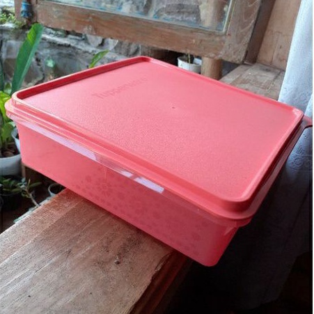 Jual snack stor tupperware | Shopee Indonesia
