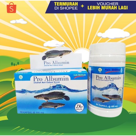 Jual 1 BOTOL PRO ALBUMIN - Ekstrak Ikan Gabus Kutuk Vitamin Penambah ...