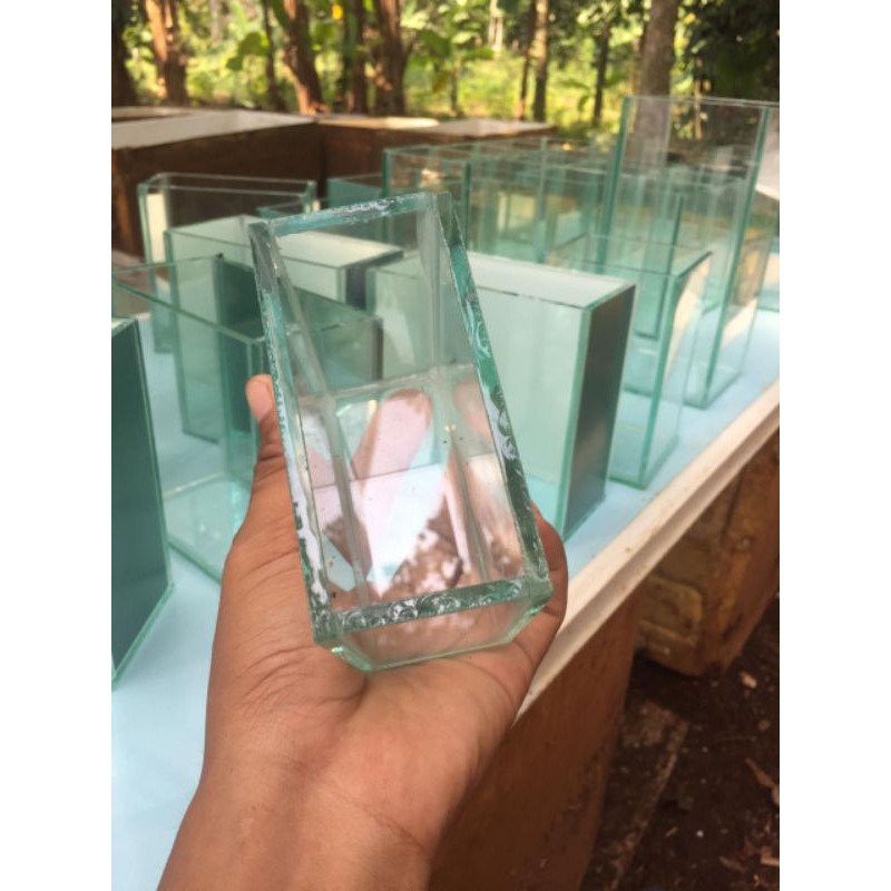 Jual soliter cupang soliter ikan cupang soliter mini aquarium mini ...