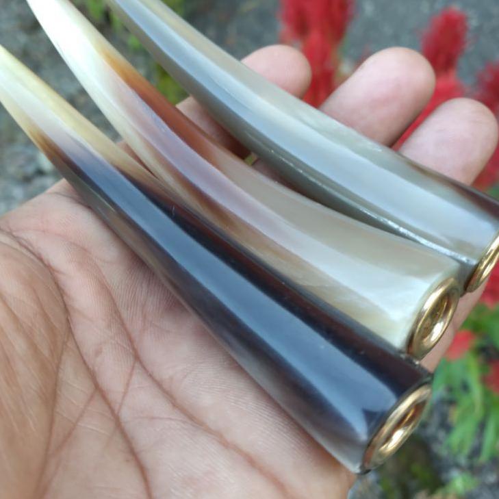 Jual Hot - ONCE PIPA TANDUK KERBAU BULE PANJANG SEDANG | Shopee Indonesia