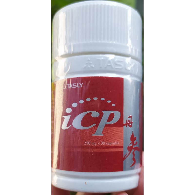 Jual Icp exp 2024 obat herbal jantung stroke diabetes | Shopee Indonesia