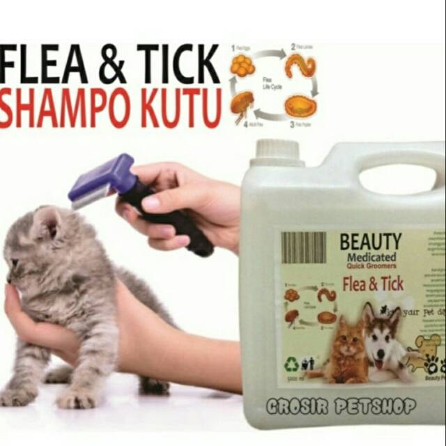 Jual Shampo hewan khusus kutu | Shopee Indonesia
