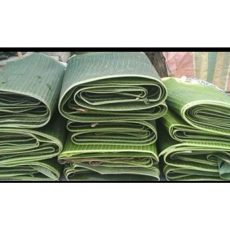 Jual DAUN PISANG BASAH | Daun pisang SEGAR PALEMBANG KOTA | Shopee ...