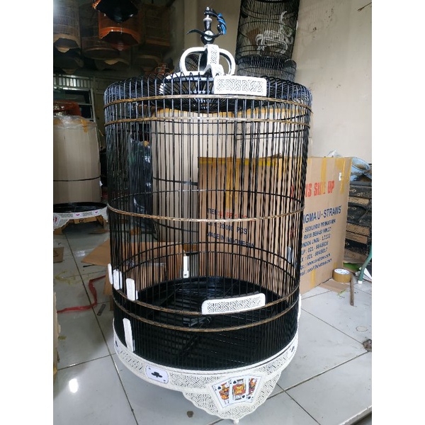 Jual sangkar akrilik / sangkar murai full akrilik / kandang murai batu ...
