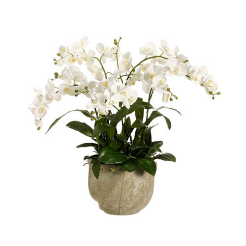 Jual Rangkaian Bunga Anggrek Bulan Karangan Bunga Meja Bunga Anggrek ...