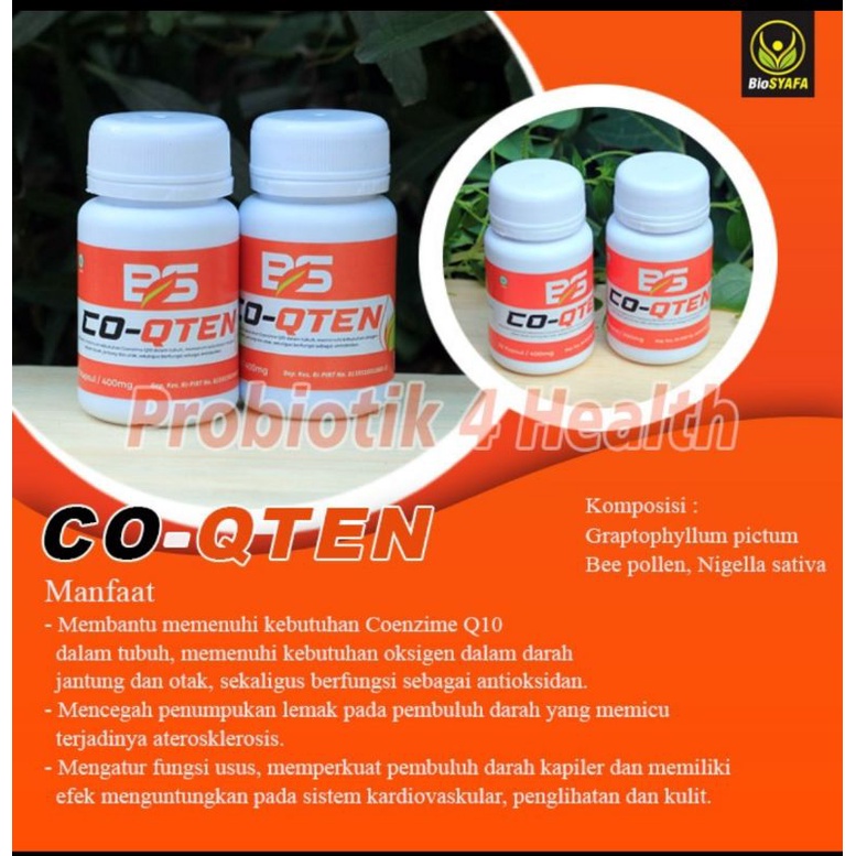Jual BIOSYAFA Co-Q Ten (multivitamin) | Shopee Indonesia