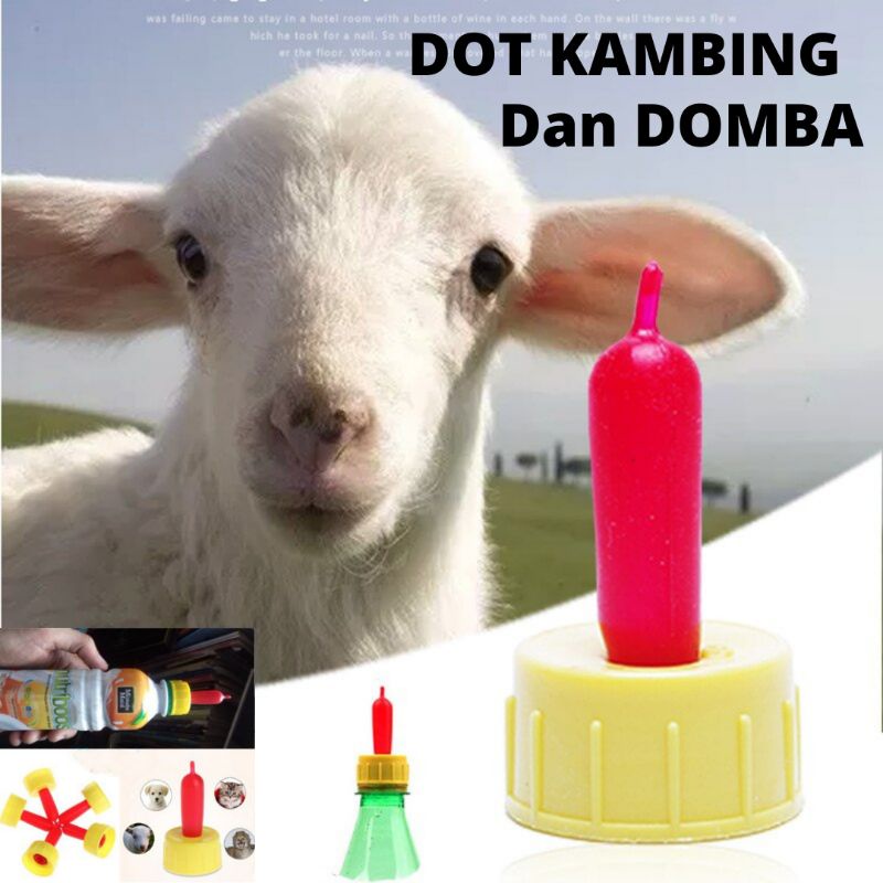 Jual DOT CEMPE KECIL UNTUK ANAK KAMBING | Shopee Indonesia