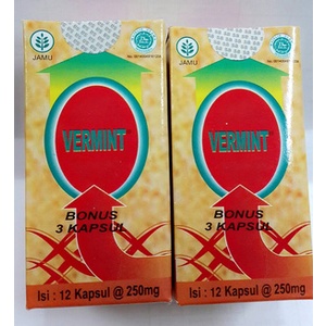 Jual VERMINT KAPSUL BESAR KECIL OBAT DEMAM / TIPES / THYPUS | Shopee ...