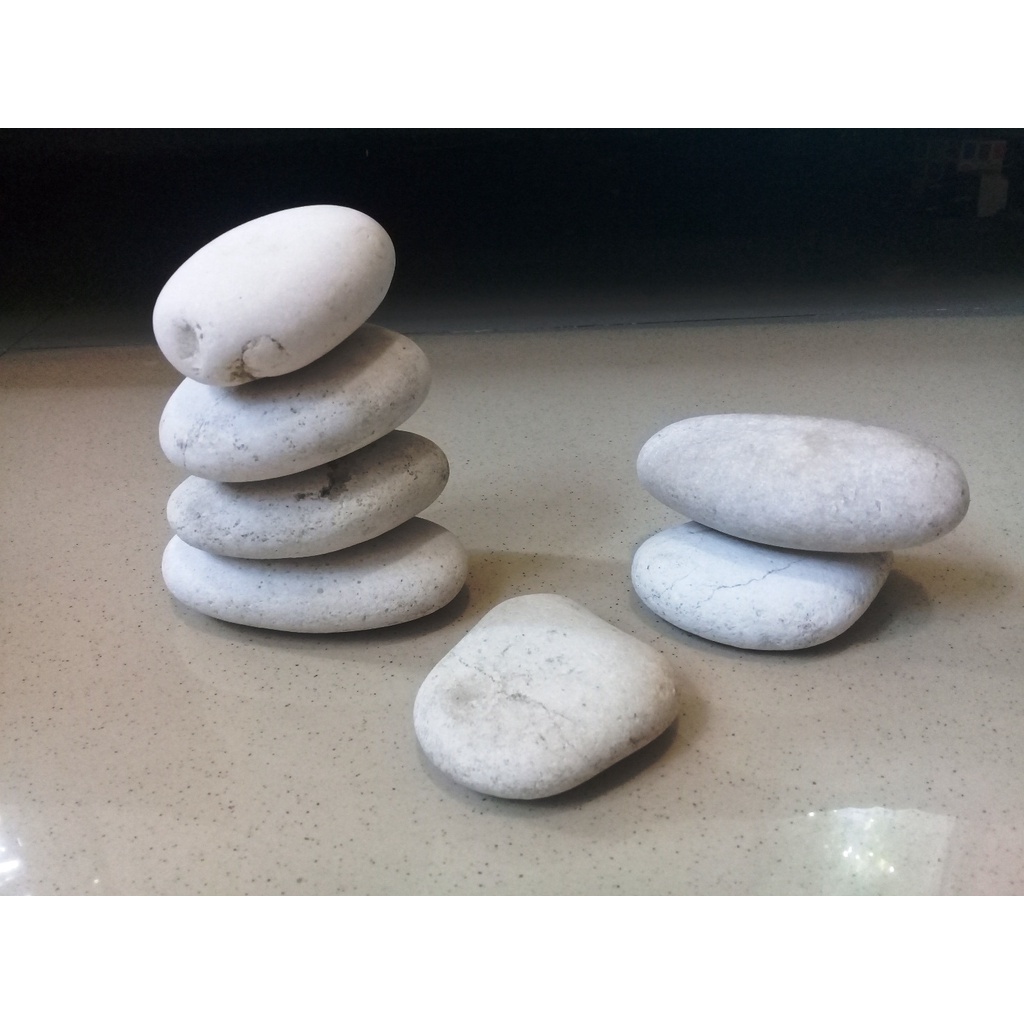 Jual Batu Kupang Pipih 5 sd 7cm Cream Pebble 1 kg Taman Terarium ...