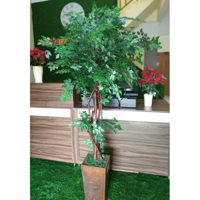 Jual Pohon Hias Daun Aralia Kecil Artificial Pot Kayu Kotak Tembaga ...