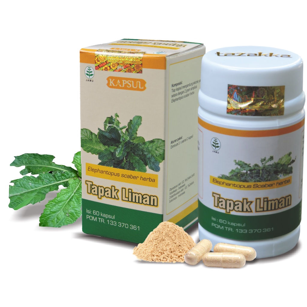Jual Obat Liver Dan Anti Radang Alami Herbal Tapak Liman Tazakka Murah ...