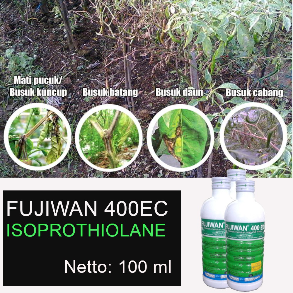Jual Fujiwan 100 ml Fungisida Embun Tepung Busuk Akar Batang Daun ...